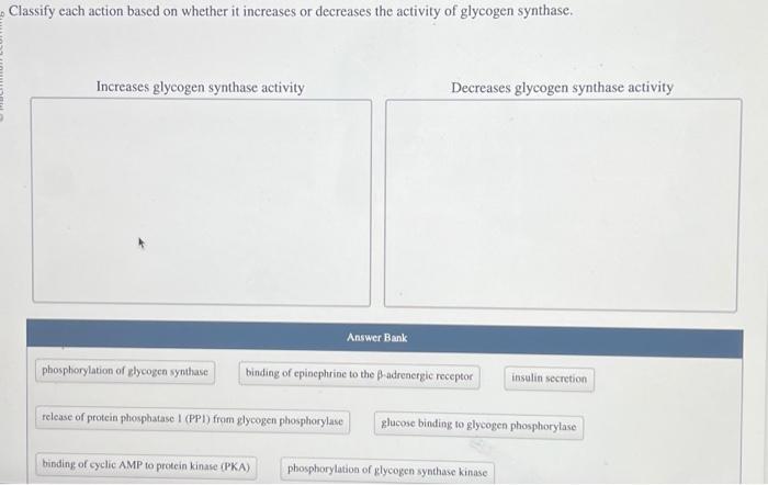 Solved Classify each action based on whether it increases or | Chegg.com