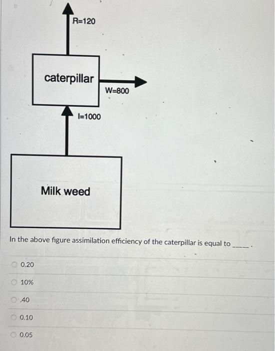 Solved In the above figure assimilation efficiency of the | Chegg.com