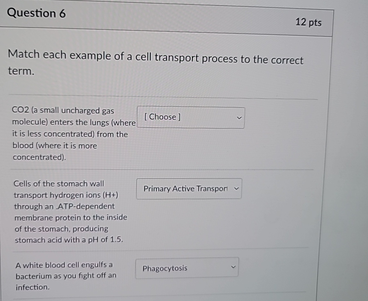 Solved Question 612 ﻿ptsMatch each example of a cell | Chegg.com