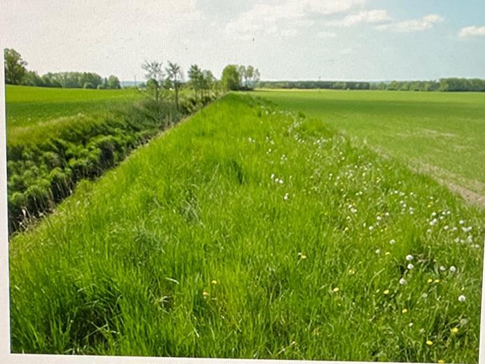 Solved refer to the image below. the strip of vegetation you | Chegg.com