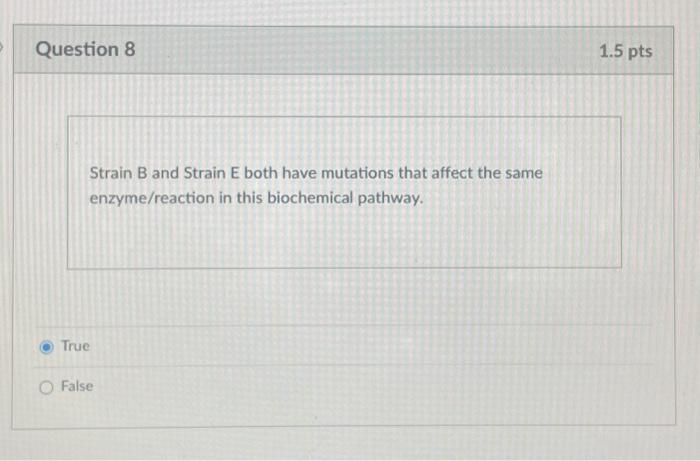 Solved can you please check my answers especially to | Chegg.com