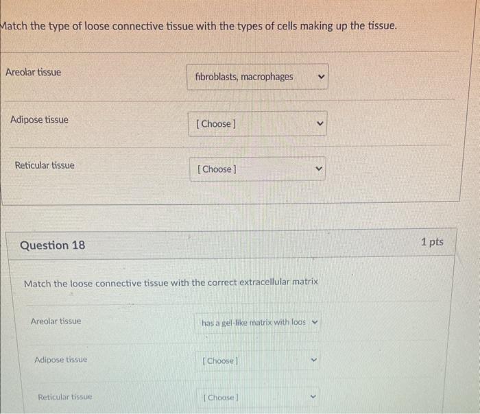 Solved Match the type of loose connective tissue with the | Chegg.com