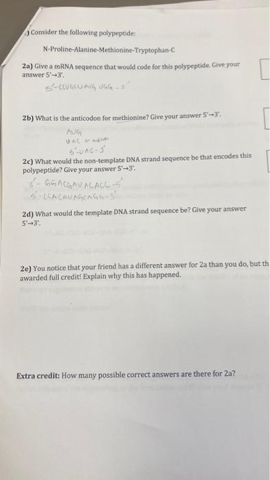 Solved Consider the following polypeptide: | Chegg.com