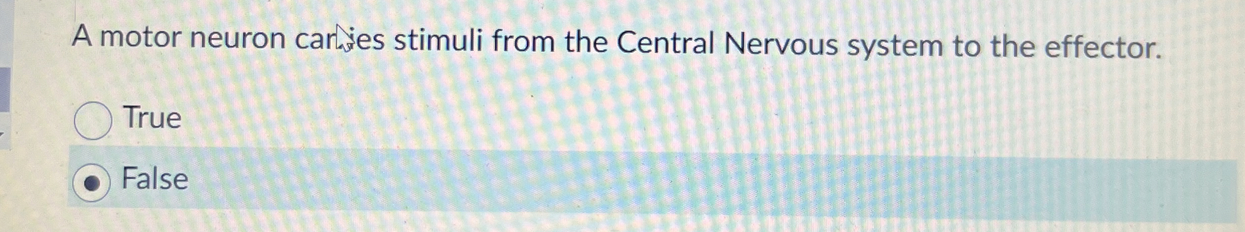 Solved A motor neuron caries stimuli from the Central | Chegg.com