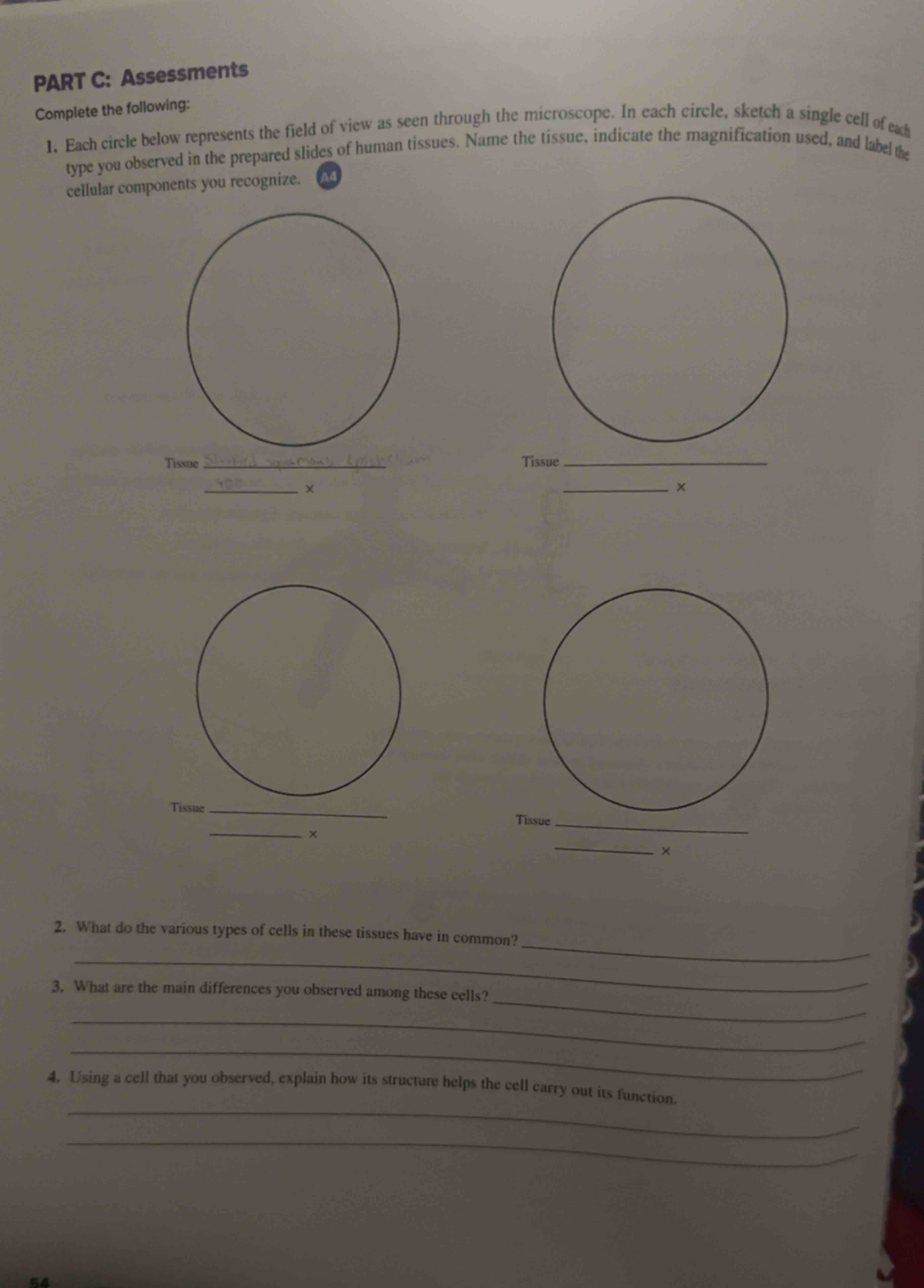 Solved Draw in circles PART C: AssessmentsComplete the | Chegg.com