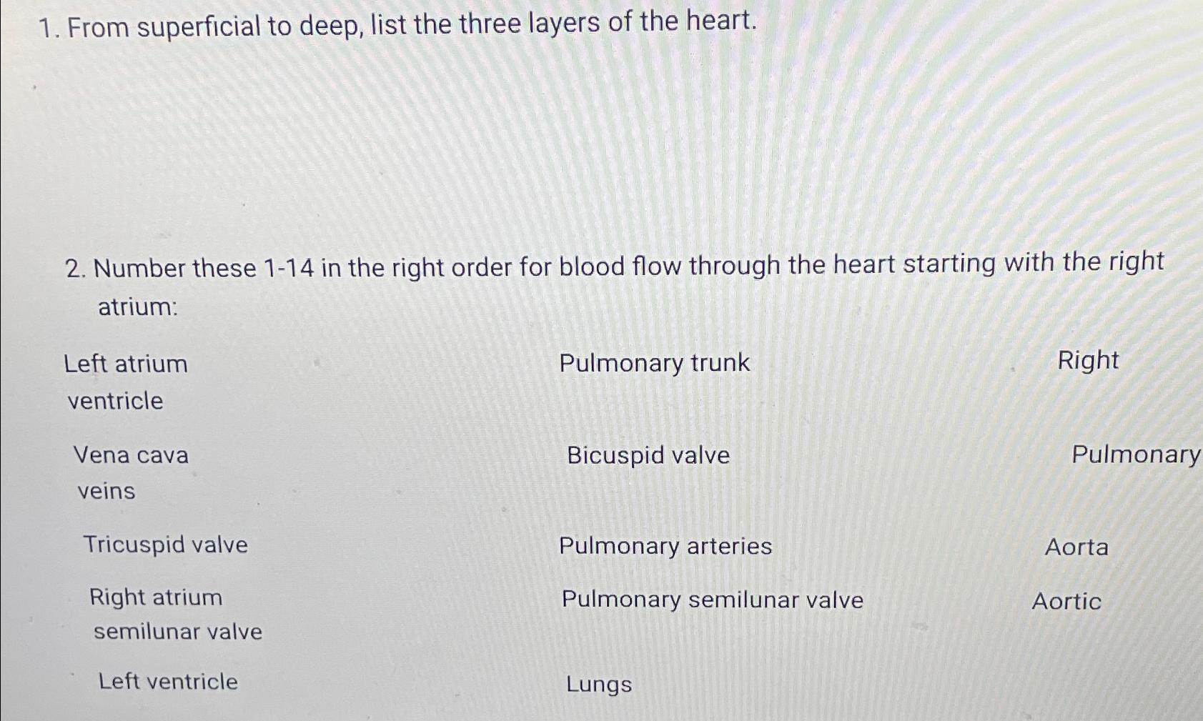 Solved From superficial to deep, list the three layers of | Chegg.com