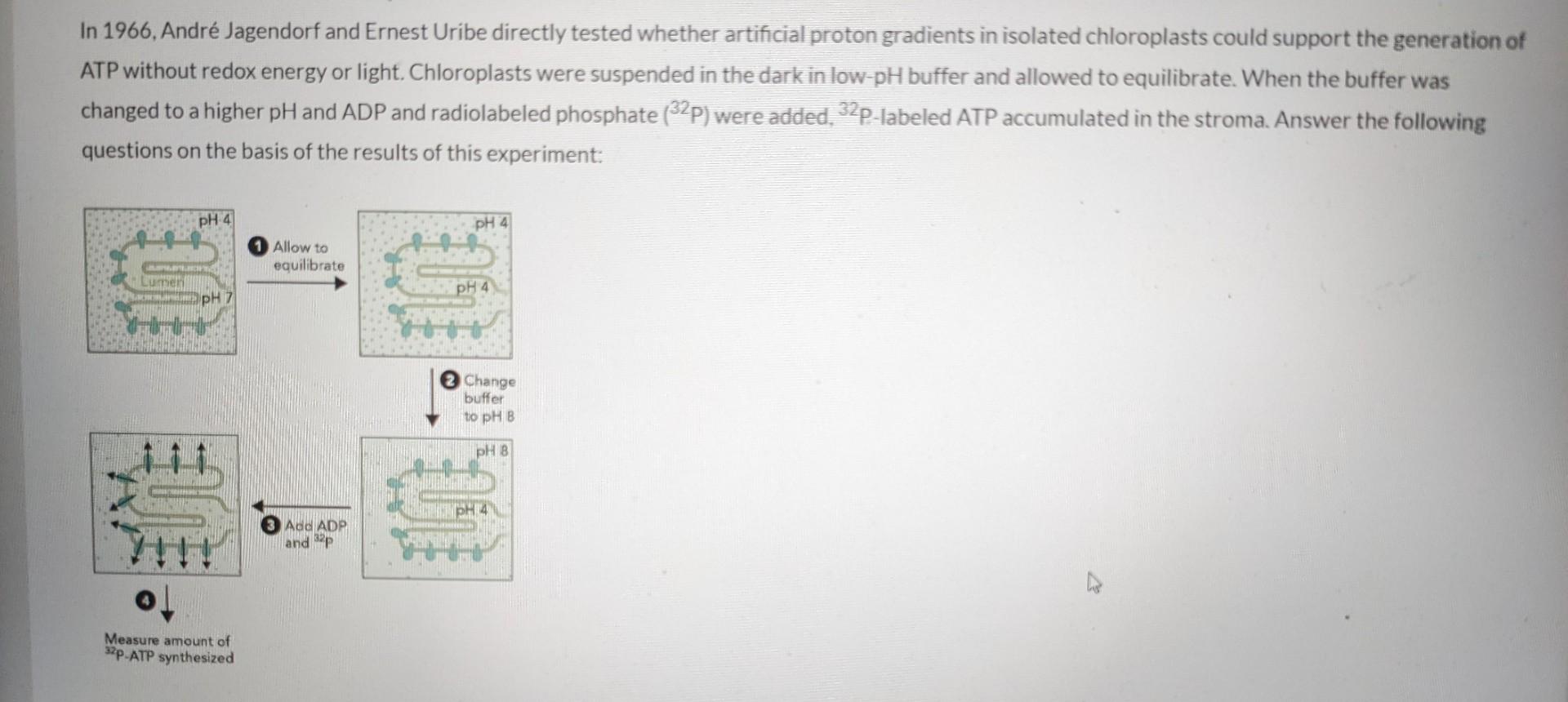 Solved In 1966, André Jagendorf and Ernest Uribe directly | Chegg.com