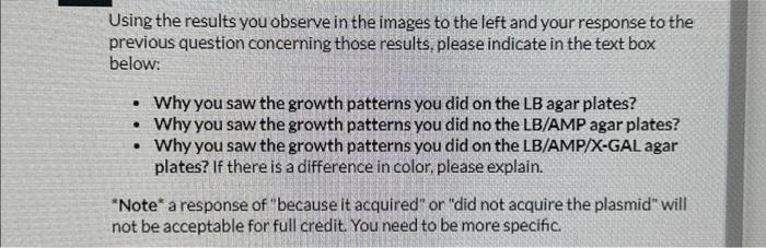 Using the results you observe in the images to the | Chegg.com