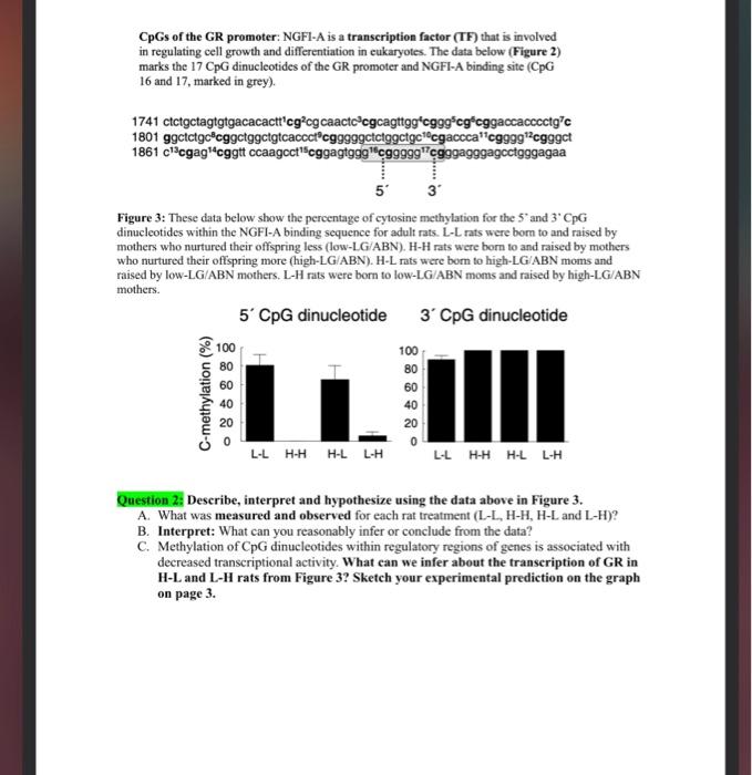 CpGs of the GR promoter: NGFI-A is a transeription | Chegg.com