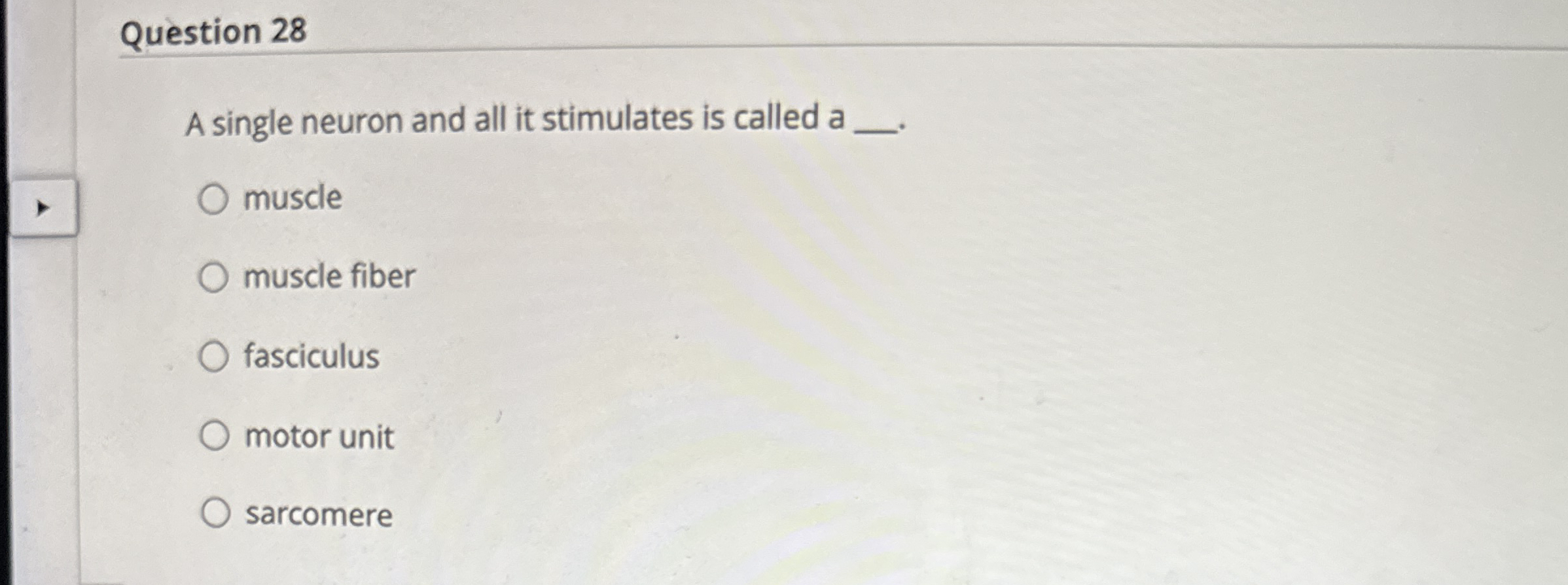 Solved Question 28A single neuron and all it stimulates is | Chegg.com