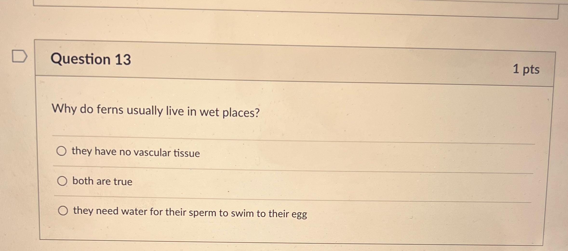 Solved Question 131ptsWhy do ferns usually live in wet | Chegg.com