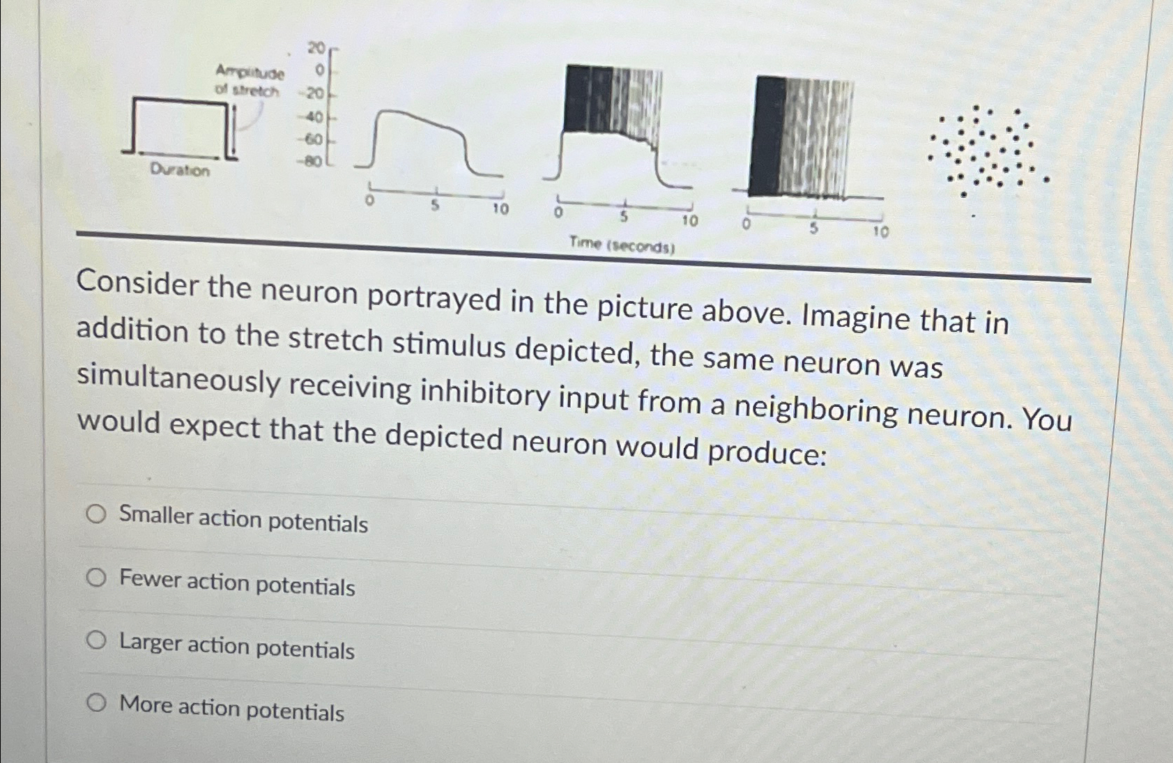 Solved Consider the neuron portrayed in the picture above. | Chegg.com