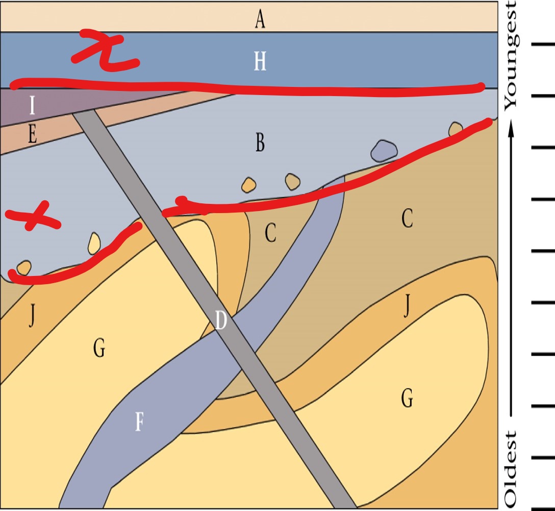 Solved Complete the GEOLOGIC CROSS SECTION (SEE BELOW) ﻿by | Chegg.com