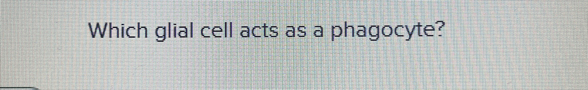 Solved Which glial cell acts as a phagocyte? | Chegg.com