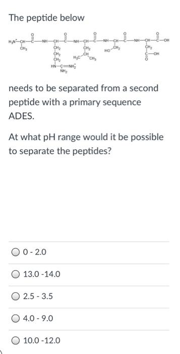 Solved The peptide below om NH -OH -- CH2 CHE CH CH CH OH не | Chegg.com