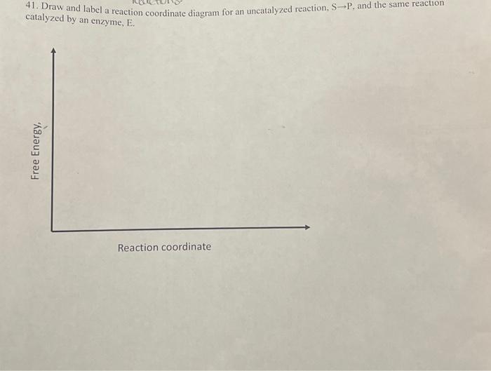 Solved 41 Draw And Label A Reaction Coordinate Diagram For