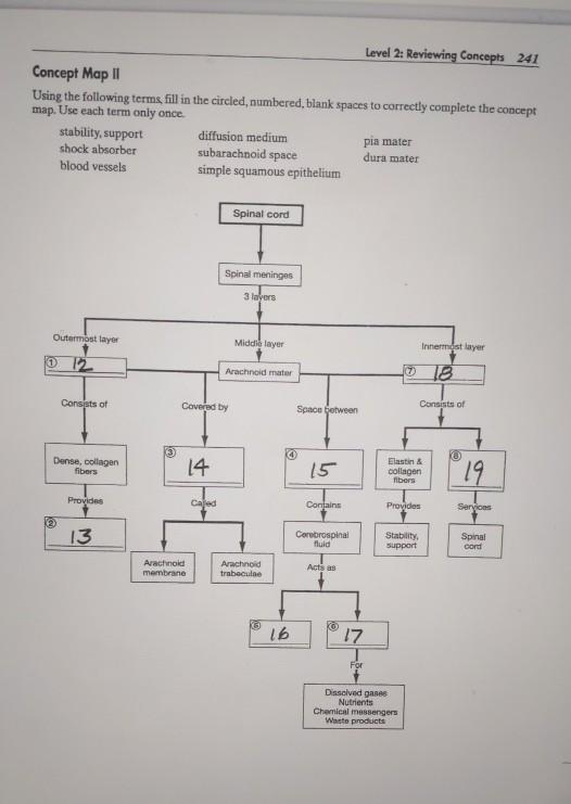 Solved Level 2: Reviewing Concepts 241 Concept Map II Using | Chegg.com