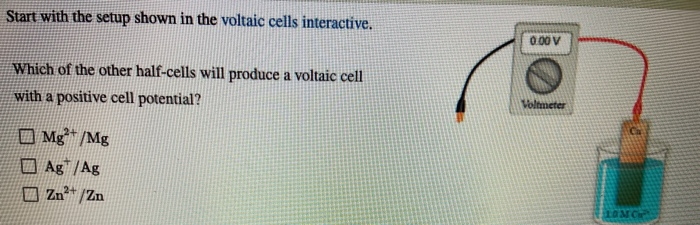 Solved Start with the setup shown in the voltaic cells | Chegg.com