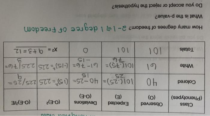 Solved *** Unu Class (Phenotypes) Observed (0) Expected (E) | Chegg.com