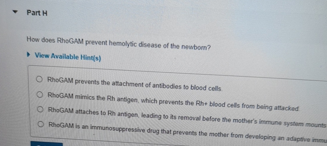 Solved Part Hhow Does Rhogam Prevent Hemolytic Disease Of