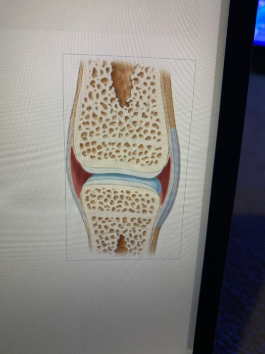 solved-part-a-what-is-the-functional-classification-of-this-chegg