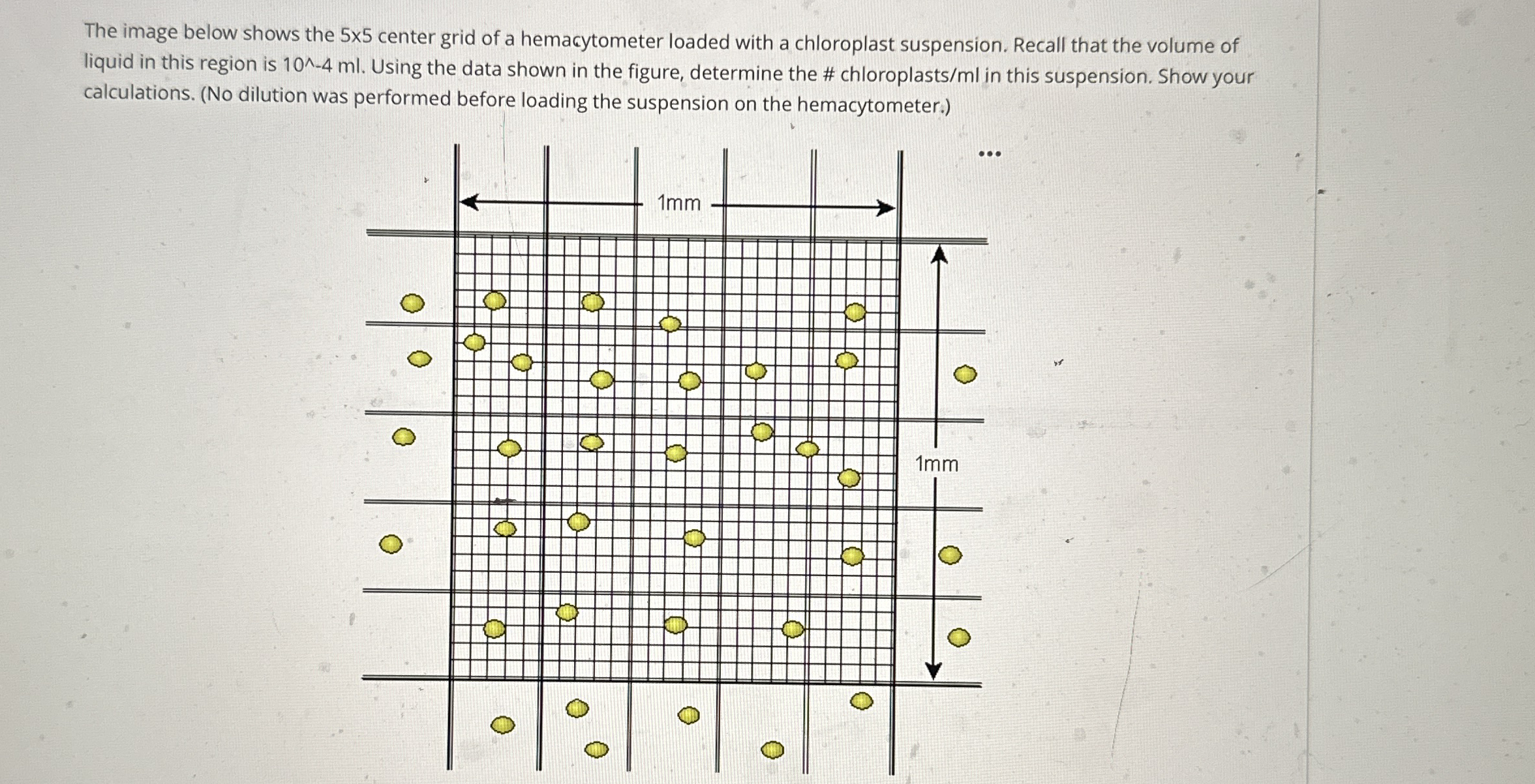 Solved The image below shows the 5×5 ﻿center grid of a | Chegg.com