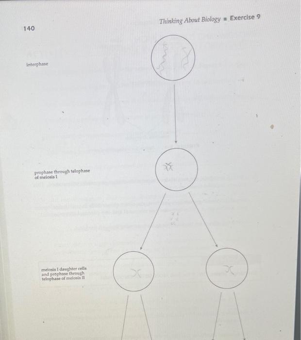 Solved Thinking About Biology = Exercise 9 140 | Chegg.com
