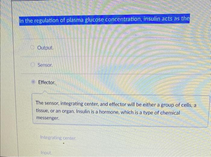 Solved n the regulation of plasma glucose concentration, | Chegg.com