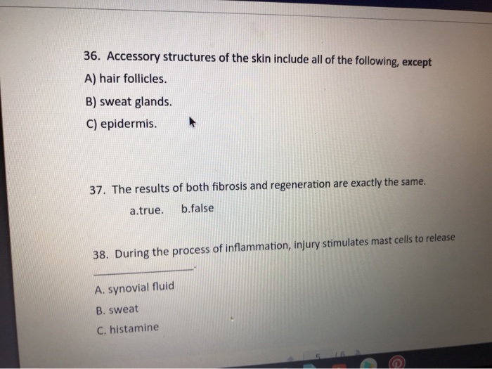 Solved 36. Accessory structures of the skin include all of | Chegg.com