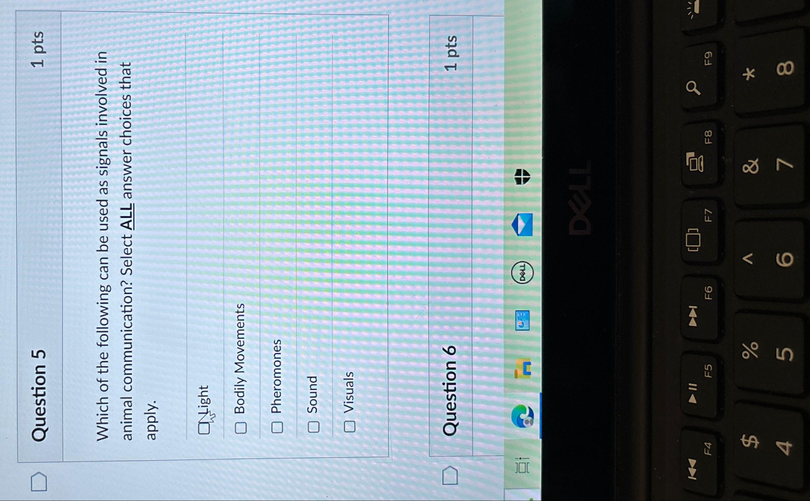 Solved Question 51 ﻿ptsWhich of the following can be used as | Chegg.com