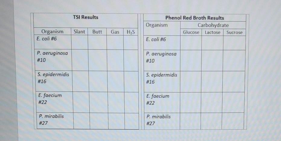 Solved TSI Results Phenol Red Broth Results Organism | Chegg.com