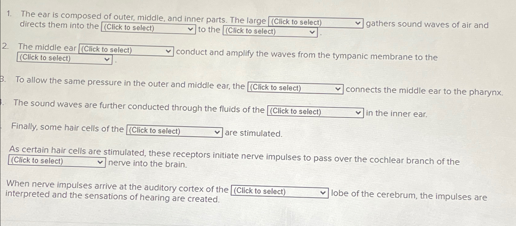 Solved The ear is composed of outer, middle. and inner | Chegg.com