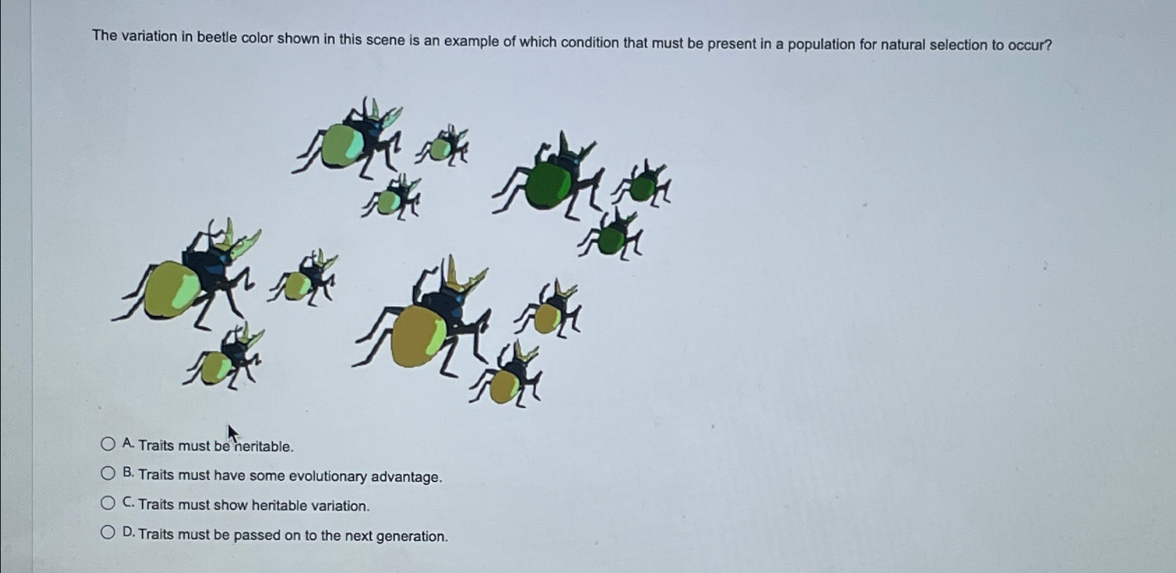 The variation in beetle color shown in this scene is | Chegg.com