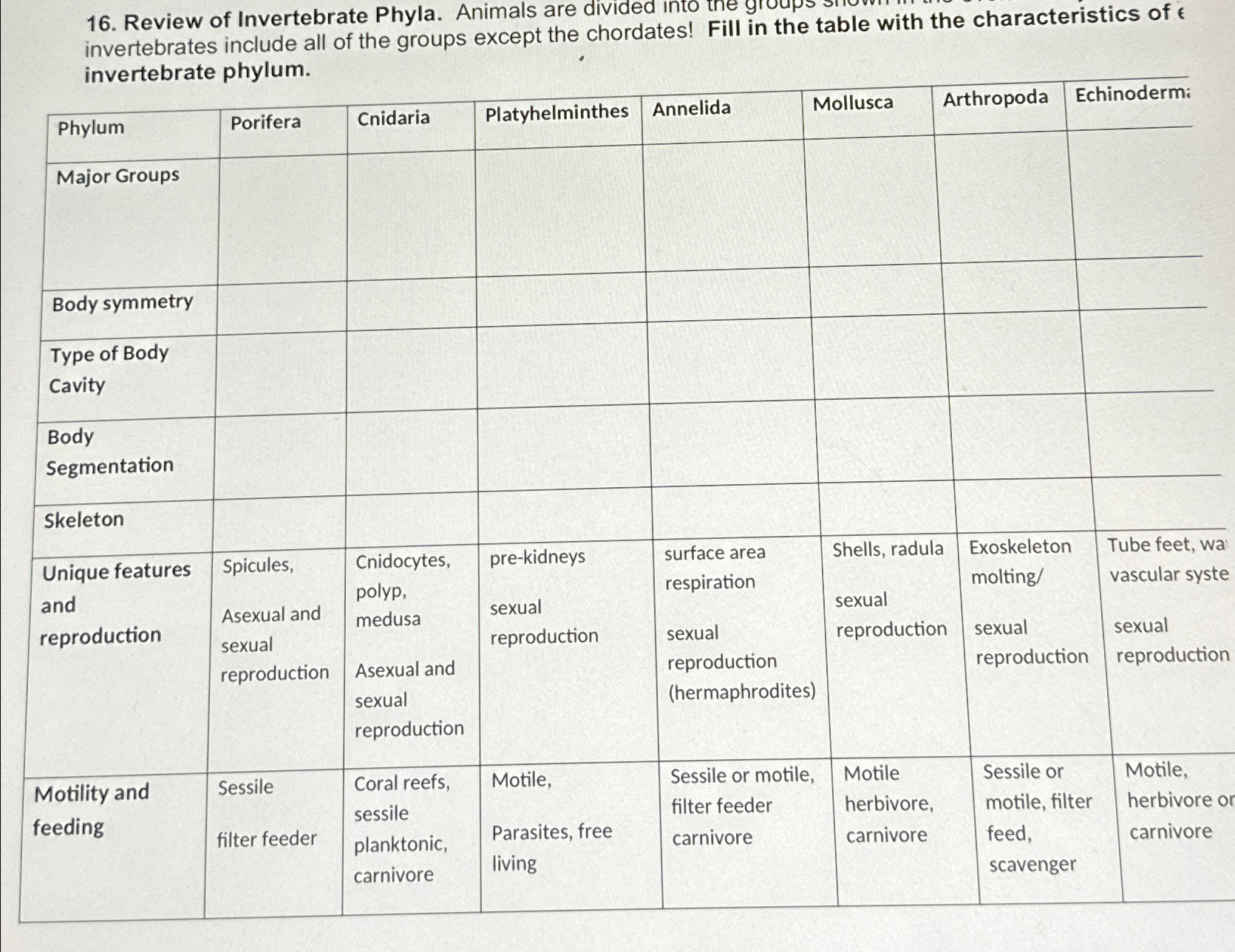 Solved Review of Invertebrate Phyla. Animals are divided | Chegg.com