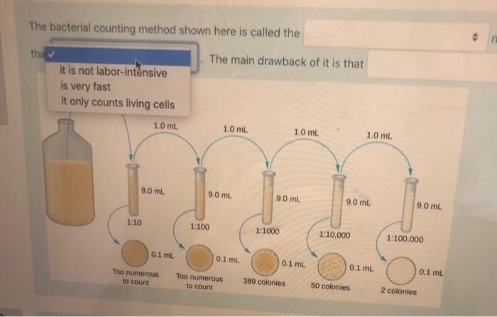 Solved The bacterial counting method shown here is called th | Chegg.com