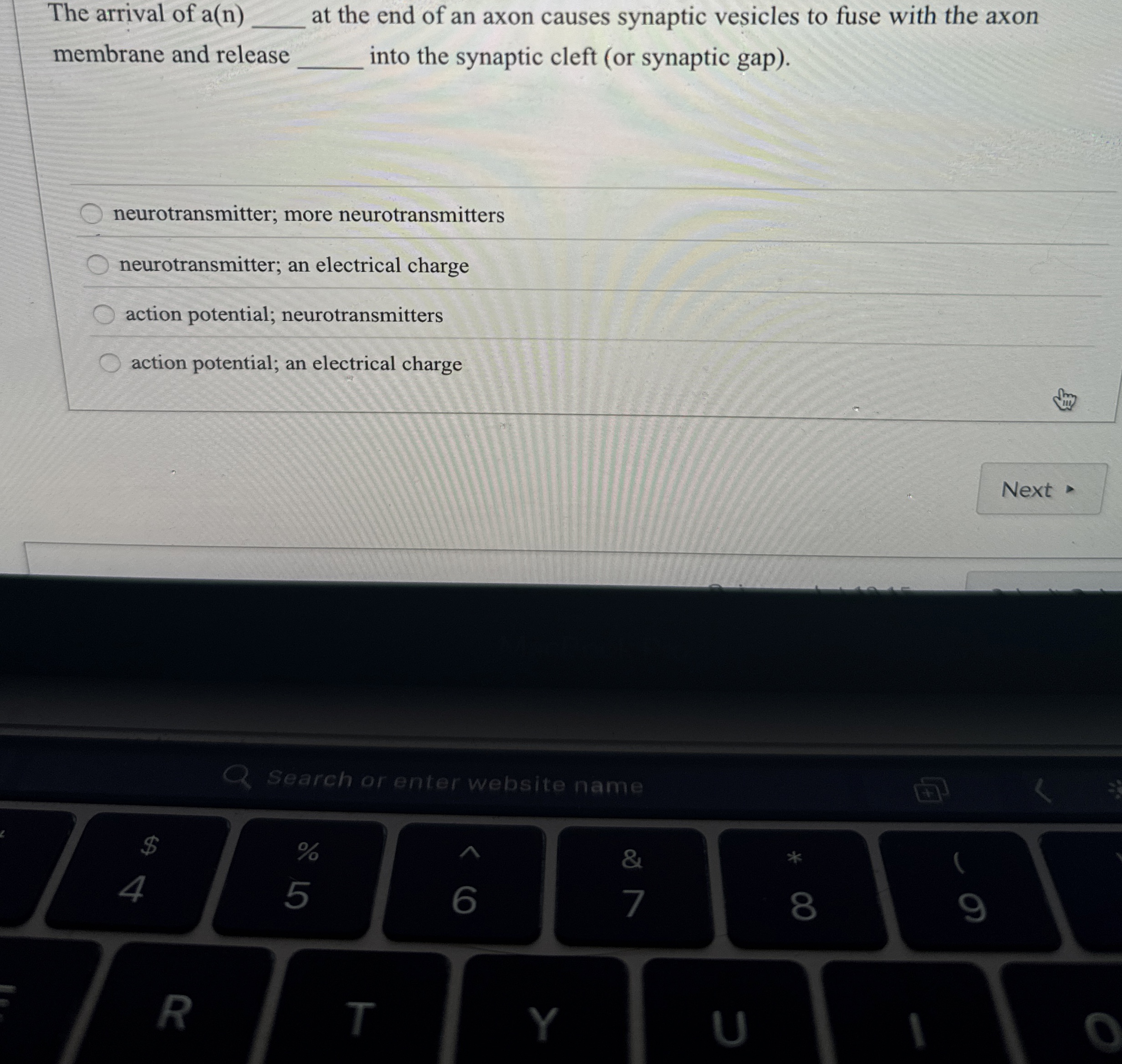 Solved The arrival of a(n)at the end of an axon causes | Chegg.com