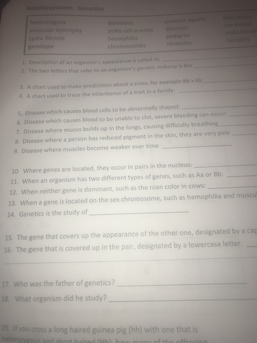 Solved Reinforcement Genetics senotype chromosomes 1. | Chegg.com