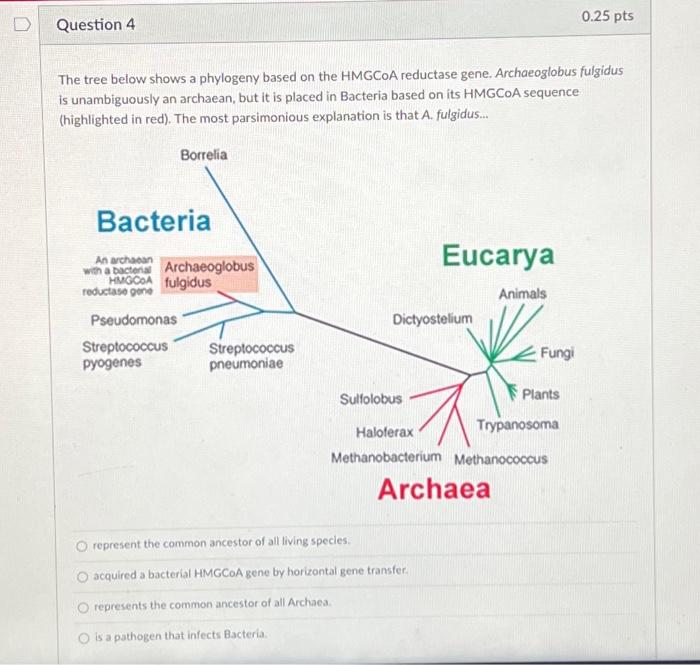 Solved The tree below shows a phylogeny based on the HMGCOA | Chegg.com