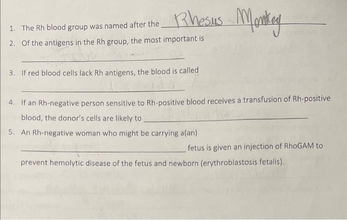 Solved 1. The Rh blood group was named after the 2. Of the | Chegg.com