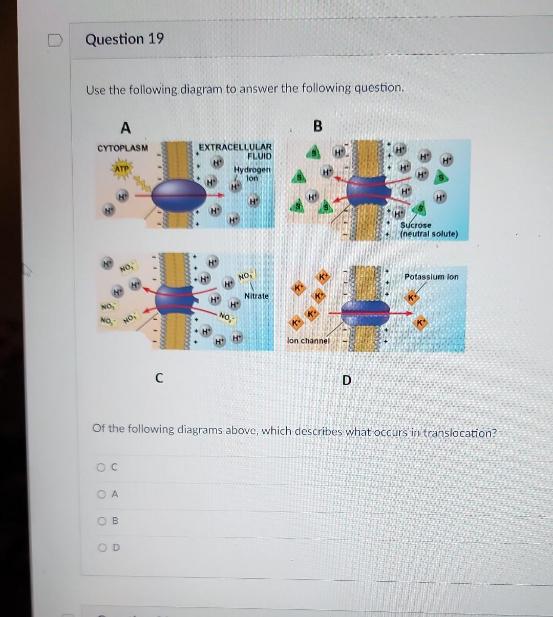 Solved Use the following diagram to answer the following | Chegg.com