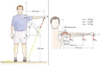 Solved Figure 1(a) below shows a man stretching an elastic | Chegg.com