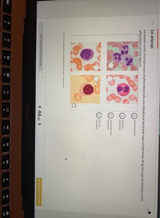 Solved 1st attempt Increased counts of certain types of | Chegg.com