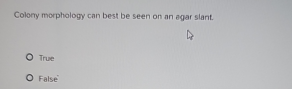 Solved Colony morphology can best be seen on an agar slant. | Chegg.com