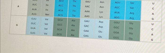 Solved Fill in the base, codon, anticodon, or amino acid | Chegg.com