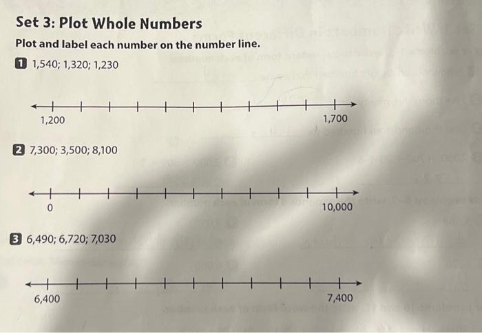 Solved Set 3: Plot Whole Numbers Plot and label each number | Chegg.com