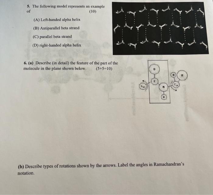 Solved 5. The following model represents an example of (10) | Chegg.com
