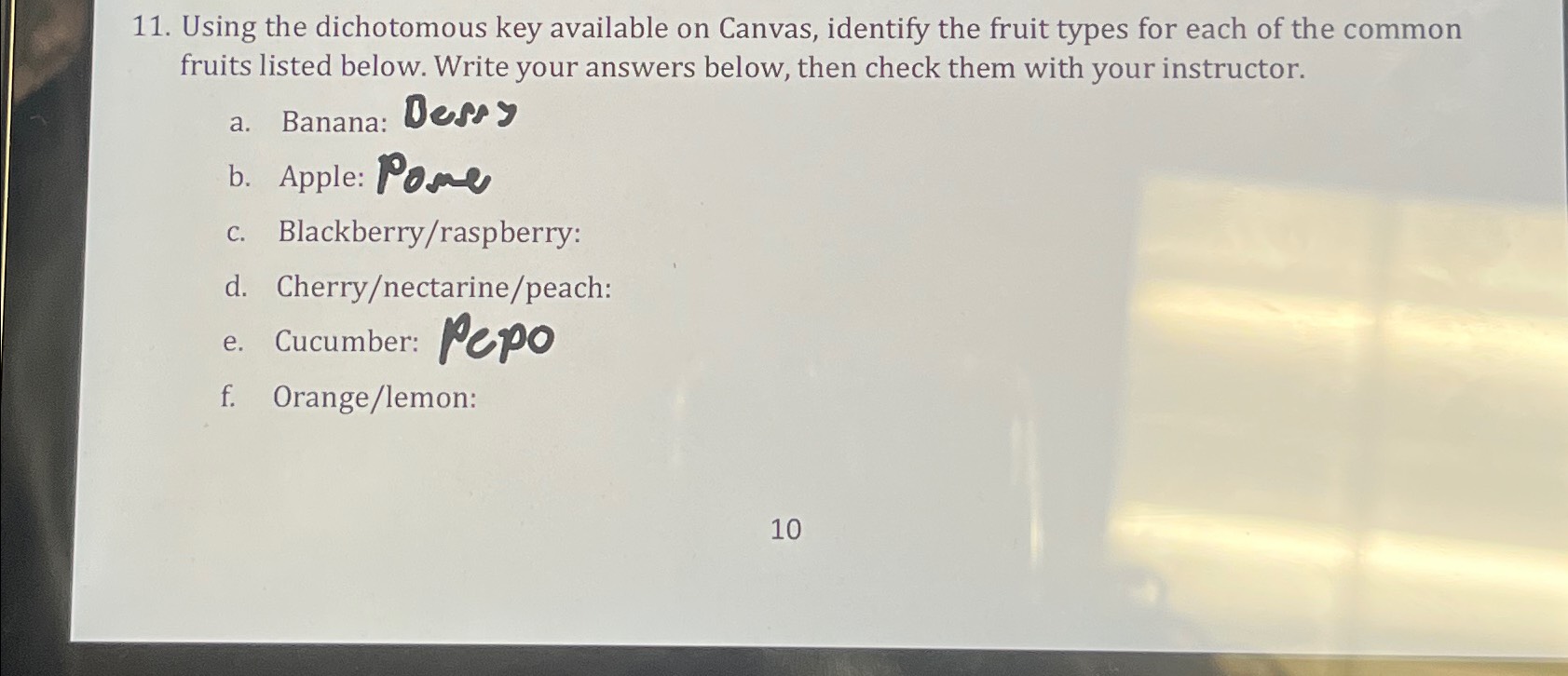 Using the dichotomous key available on Canvas, | Chegg.com