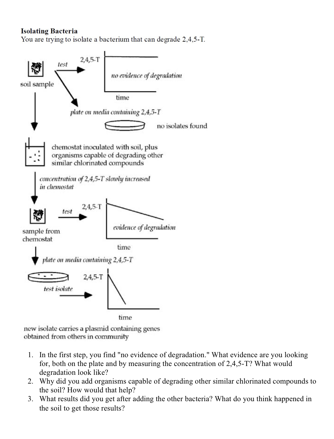 Solved Isolating BacteriaYou are trying to isolate a | Chegg.com