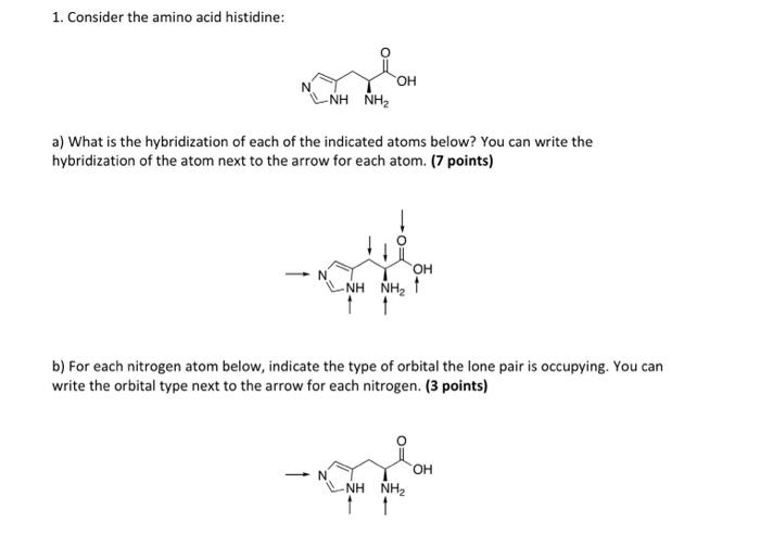 Solved 1. Consider the amino acid histidine: a) What is the | Chegg.com