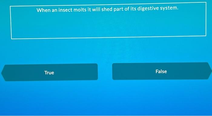 Solved Since ocelli are not used for forming images, what | Chegg.com